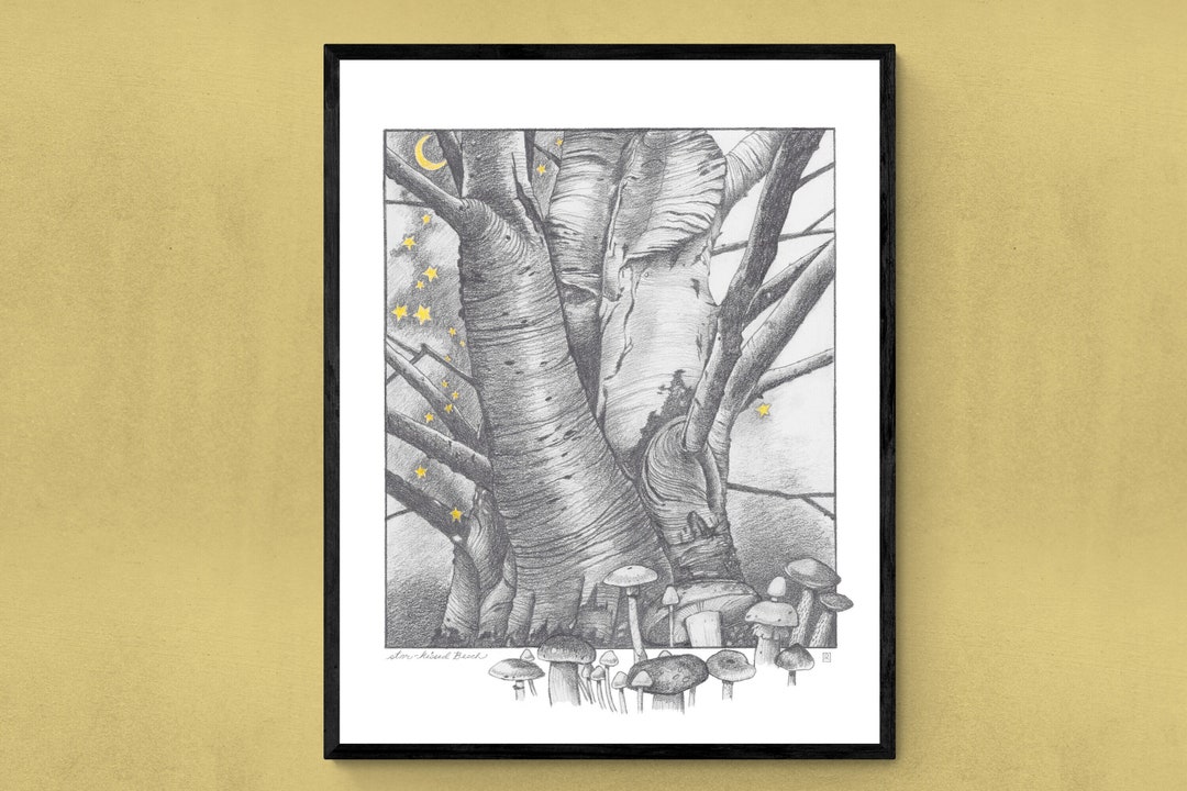 Beech Tree Drawing · Woodland Nursery Print · Mushroom Illustration ...