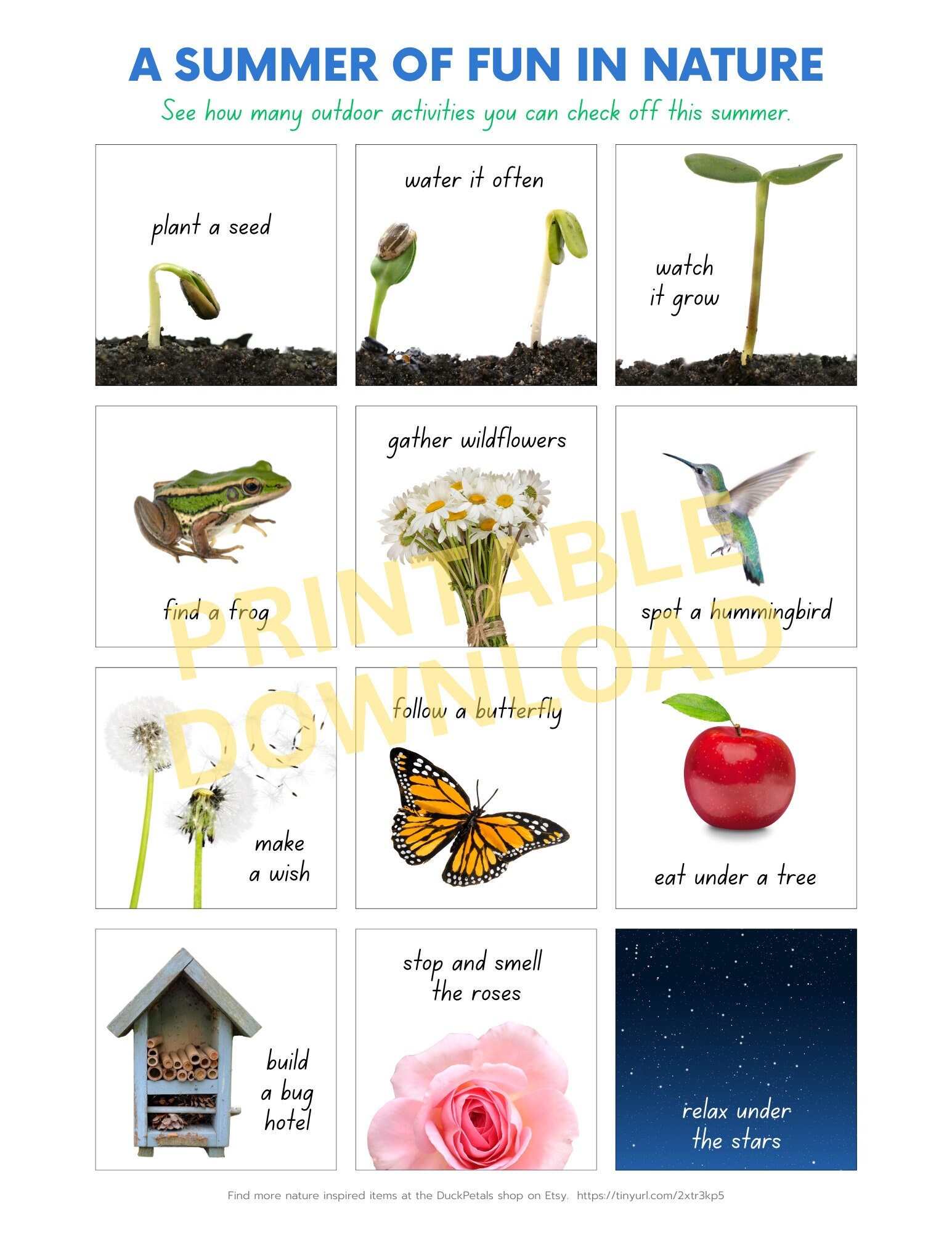 Digital Download: Summer of Fun in Nature. Scavenger Hunt Worksheet ...