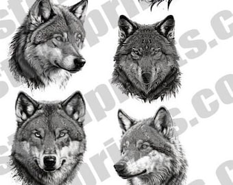 8 PACK BUNDLE, Wolf Face in High Detail,wolf Png,dtf,dtg Portrait PNG ...