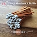 2 Inch Expresso Matchstick- Bulk DIY Loose Cinnamon Matchstick, Party ...