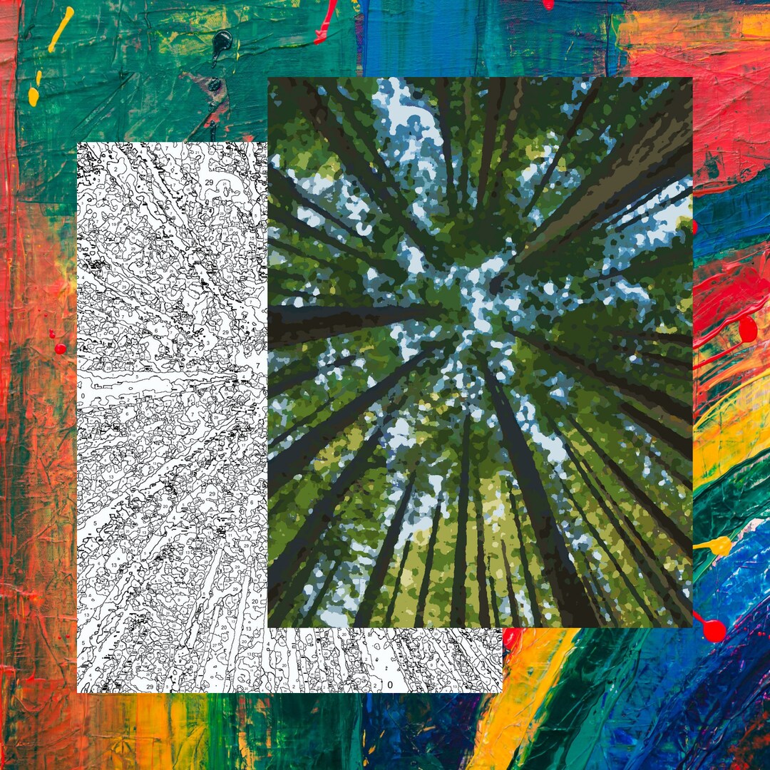 Forest Paint by Number | Forest Coloring by Number | Nature Coloring ...