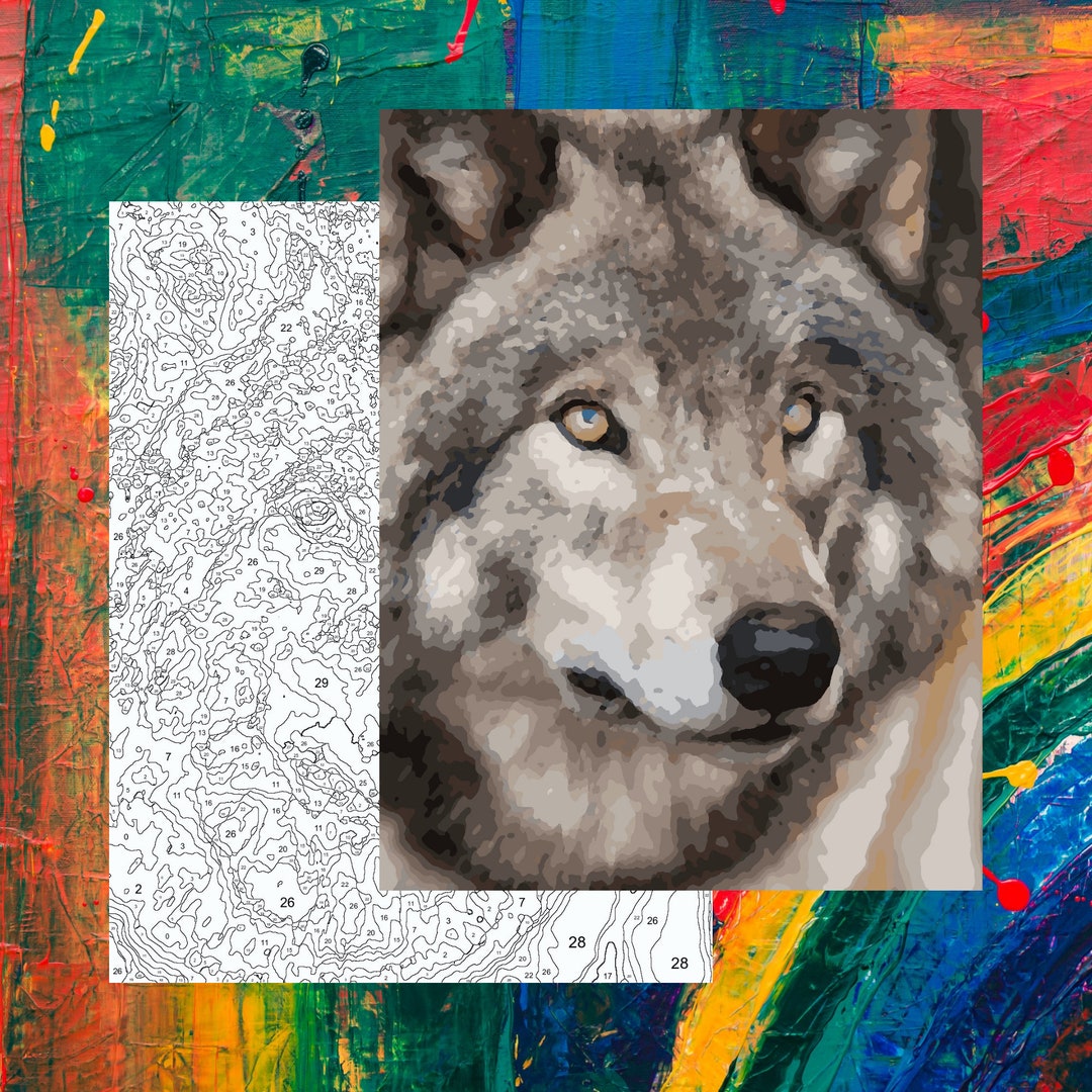Wolf Paint by Number | Wolf Coloring by Number | Nature Coloring Sheet ...
