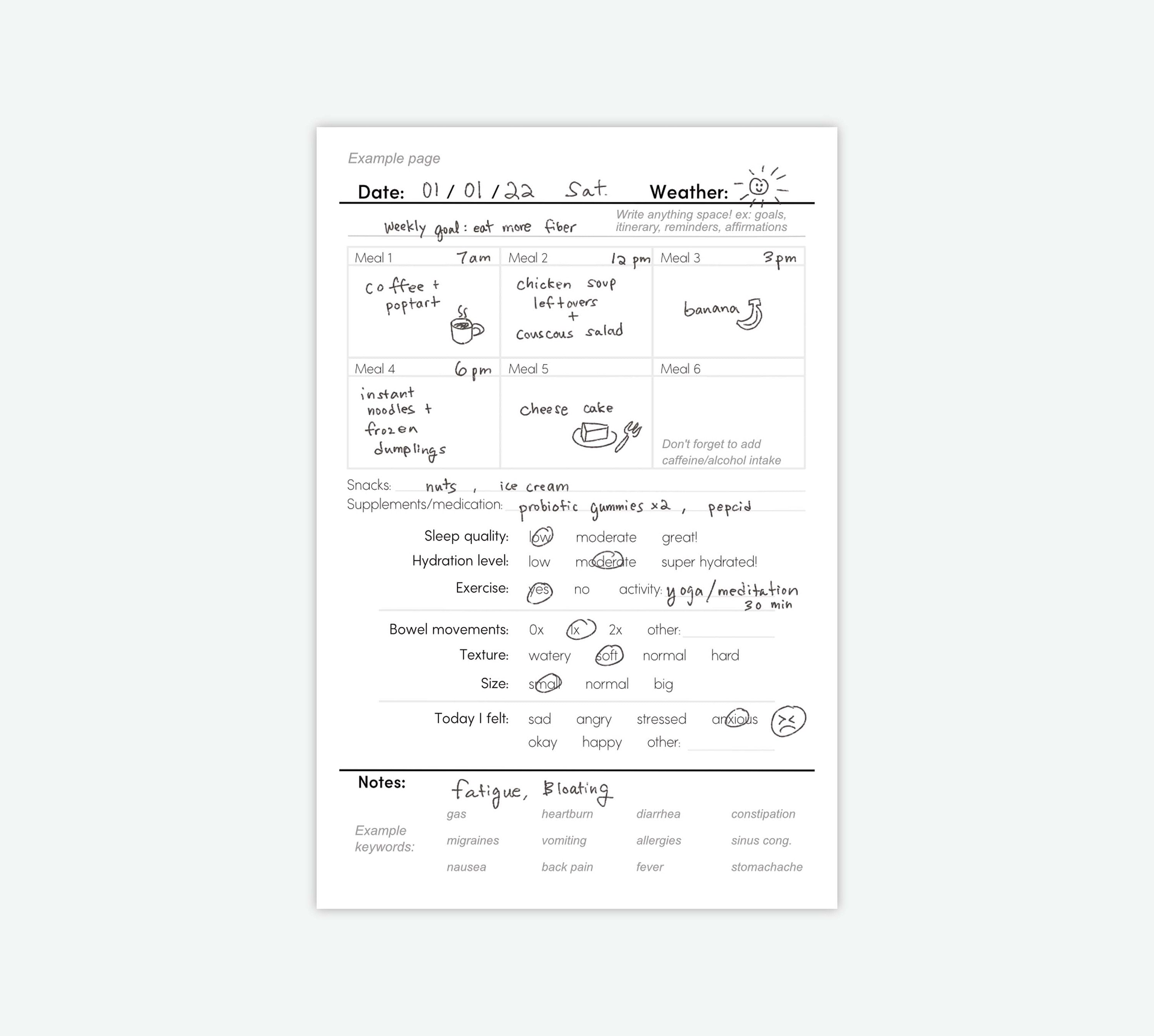 Gut Diary, Diet Tracker, Health Notebook, Self Care Journal - Etsy