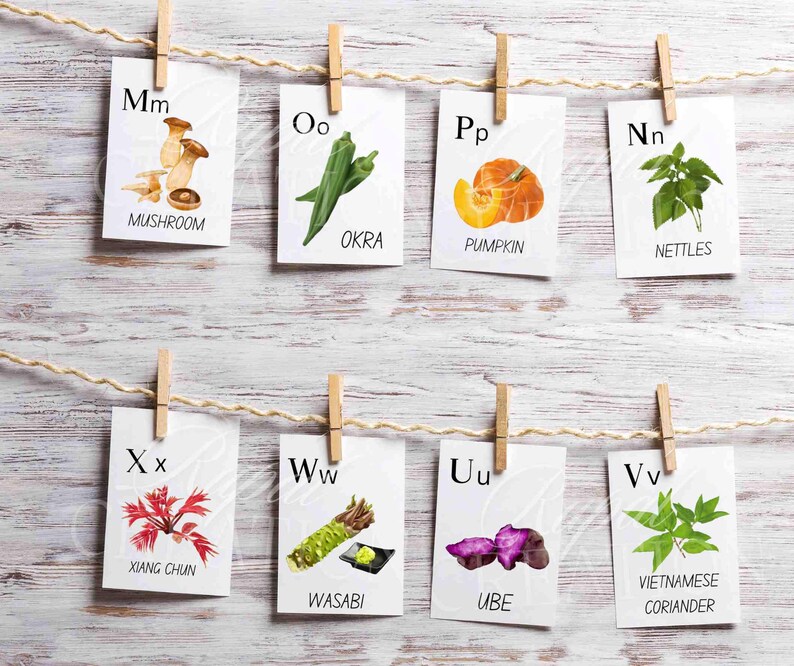 Vegetable Alphabet Flashcards: Montessori Homeschool Cards (digital ...