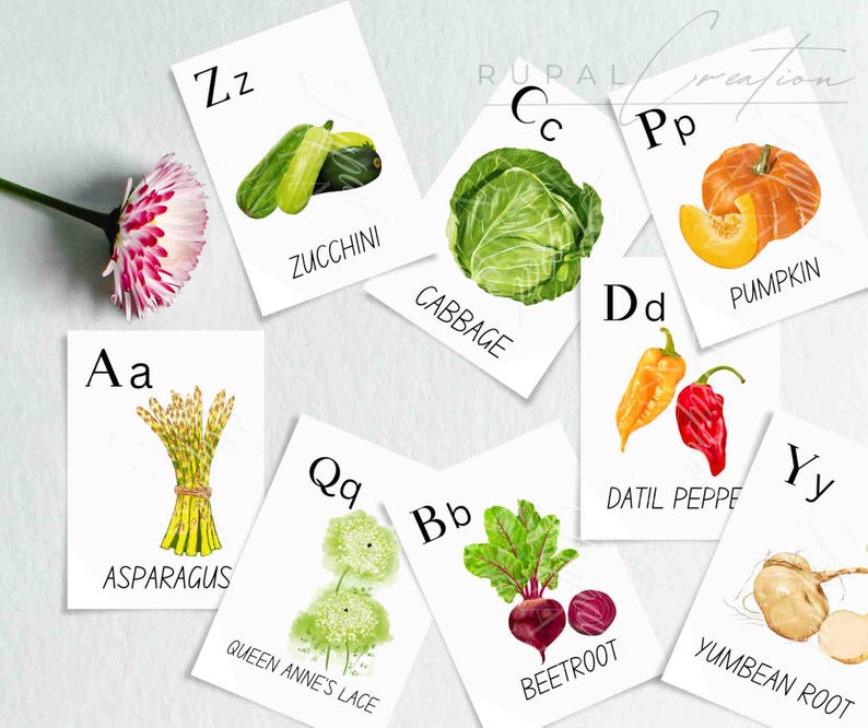 Vegetable Alphabet Flashcards: Montessori Homeschool Cards (digital ...