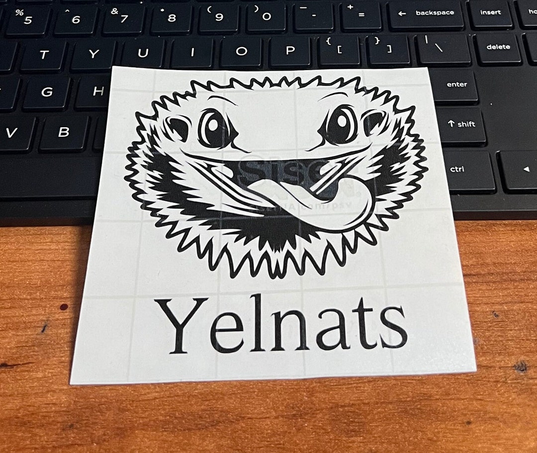 Yelnats Decal / Cup / Stanley / Decal - Etsy