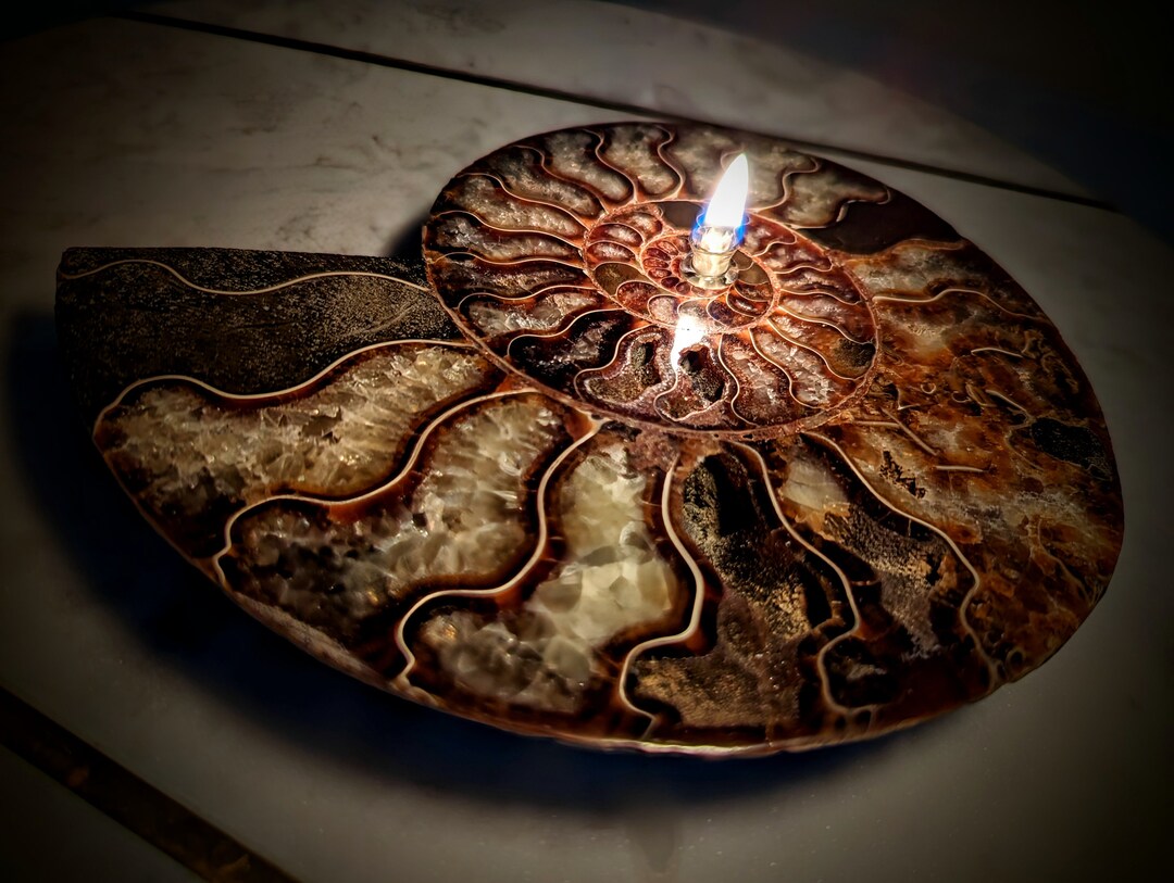 Fossil Rock Candle Aromatherapy Oil Lamp Ammonite Glowstone Unique ...