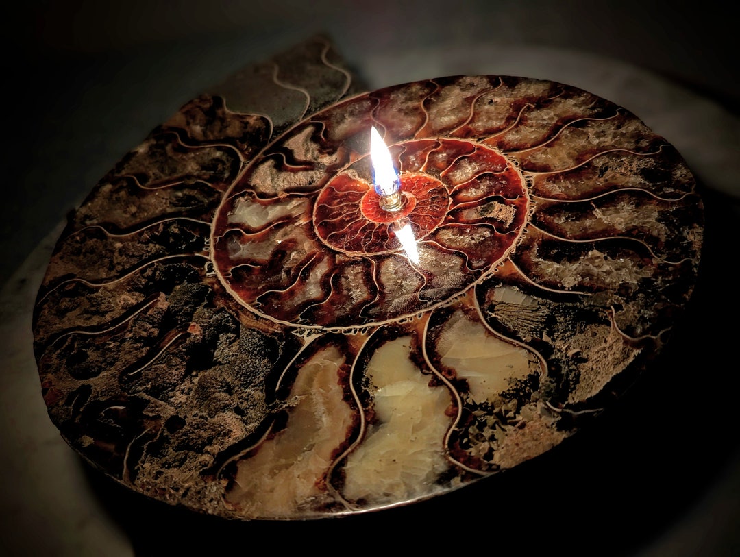 XXXL Statement Fossil Rock Candle Aromatherapy Oil Lamp Ammonite ...