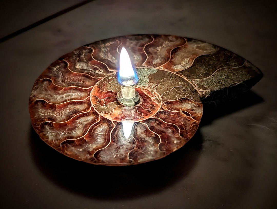 Fossil Rock Candle Aromatherapy Oil Lamp | Ammonite Glowstone | Unique ...