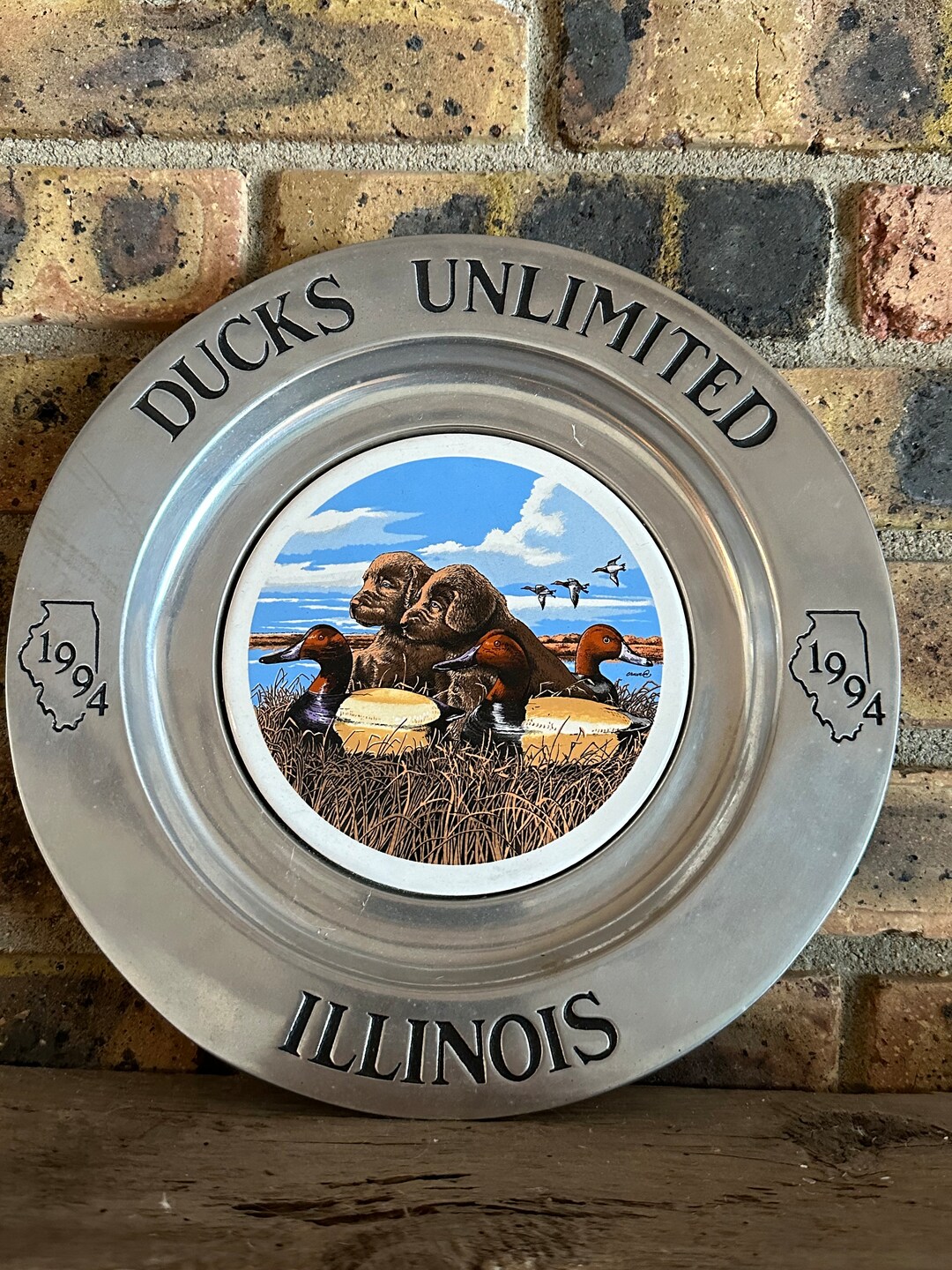 Ducks Unlimited Illinois Plate - Etsy