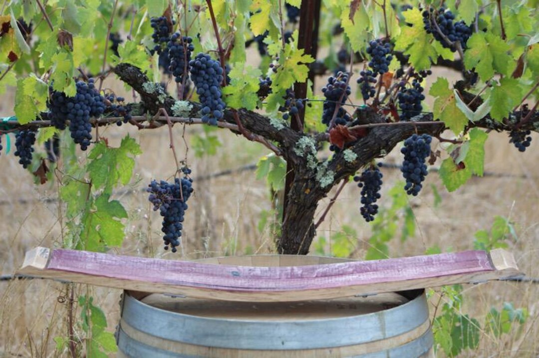 Full Stave Wine Barrel Charcuterie Board - Etsy