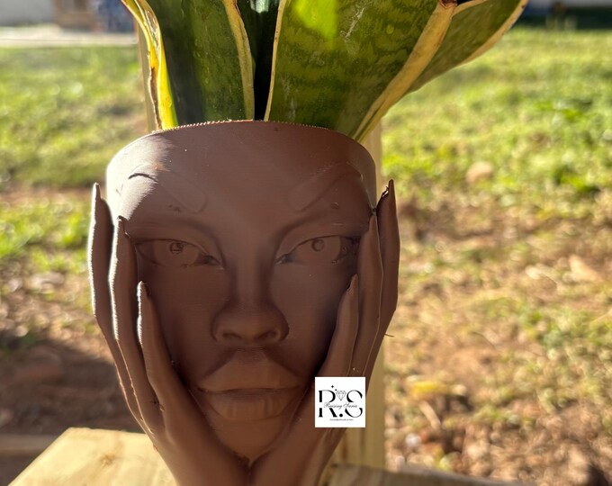 Afrocentric Woman Face Planter - Desk Planter, African Bust, Cozy Room ...
