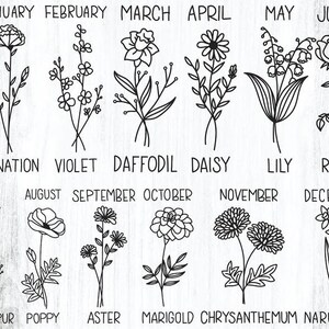 Birth Flower Calendar - Etsy