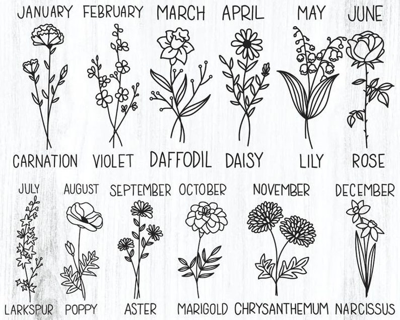 Birth Flower Calendar - Etsy