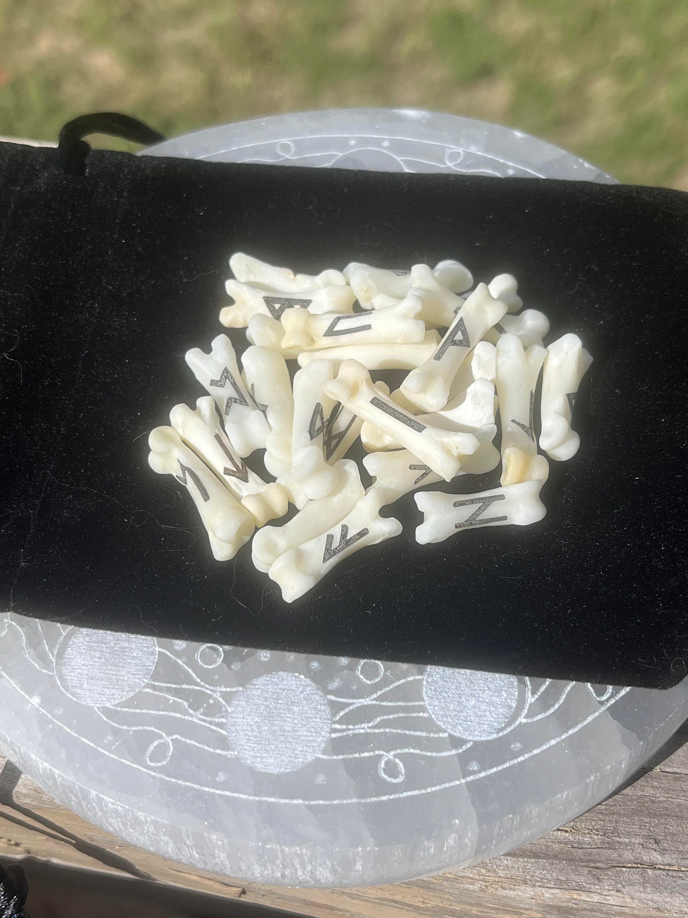 Coyote Toe Bone Rune Set - Etsy