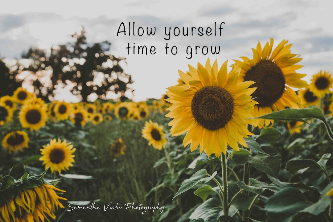 Photo Print Allow Yourself Time to Grow - Etsy