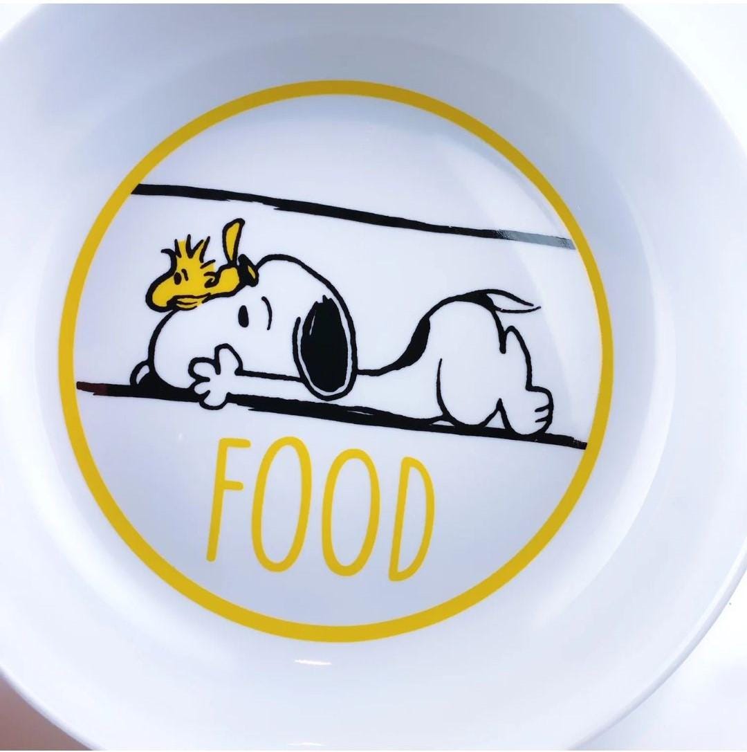 Snoopy and Woodstock Salad Bowl Adorable Peanuts Characters Bowl for ...