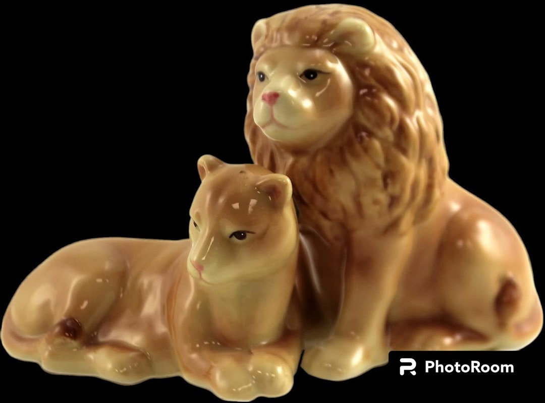 Mr. and Mrs. Lion Couple Magnetic Salt and Pepper Shaker Kitchen Set - Etsy