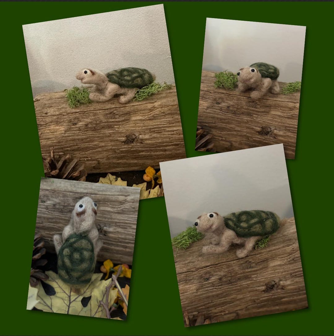 Meet Tucker the Handmade Needlefelted Turtle - Etsy
