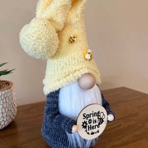 Bee Gnome, Spring Time Gnome, Buzz Into Spring Gnome, Bee Decor, spring ...