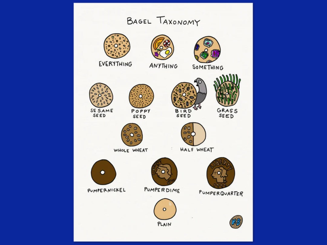 Bagel Taxonomy Art Print - Etsy