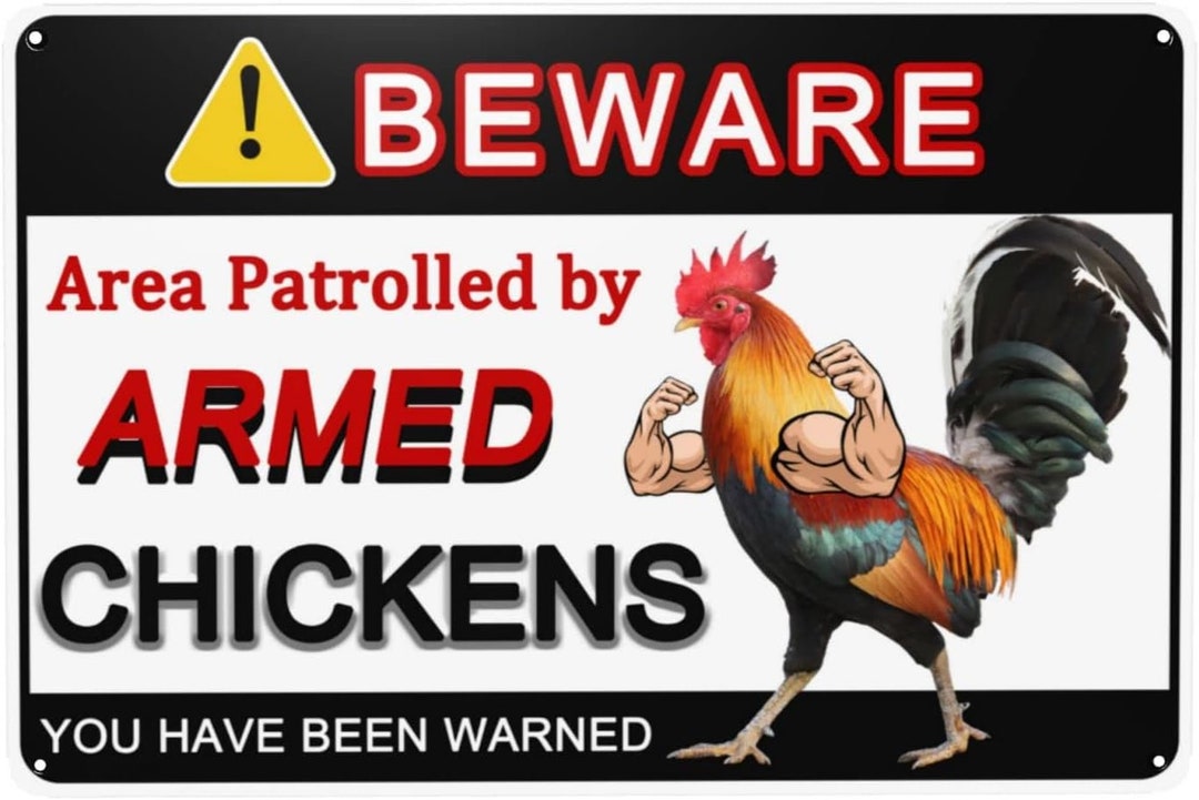 Beware Area Patrolled by Armed Chicken Metal Aluminum Tin Sign Vintage ...