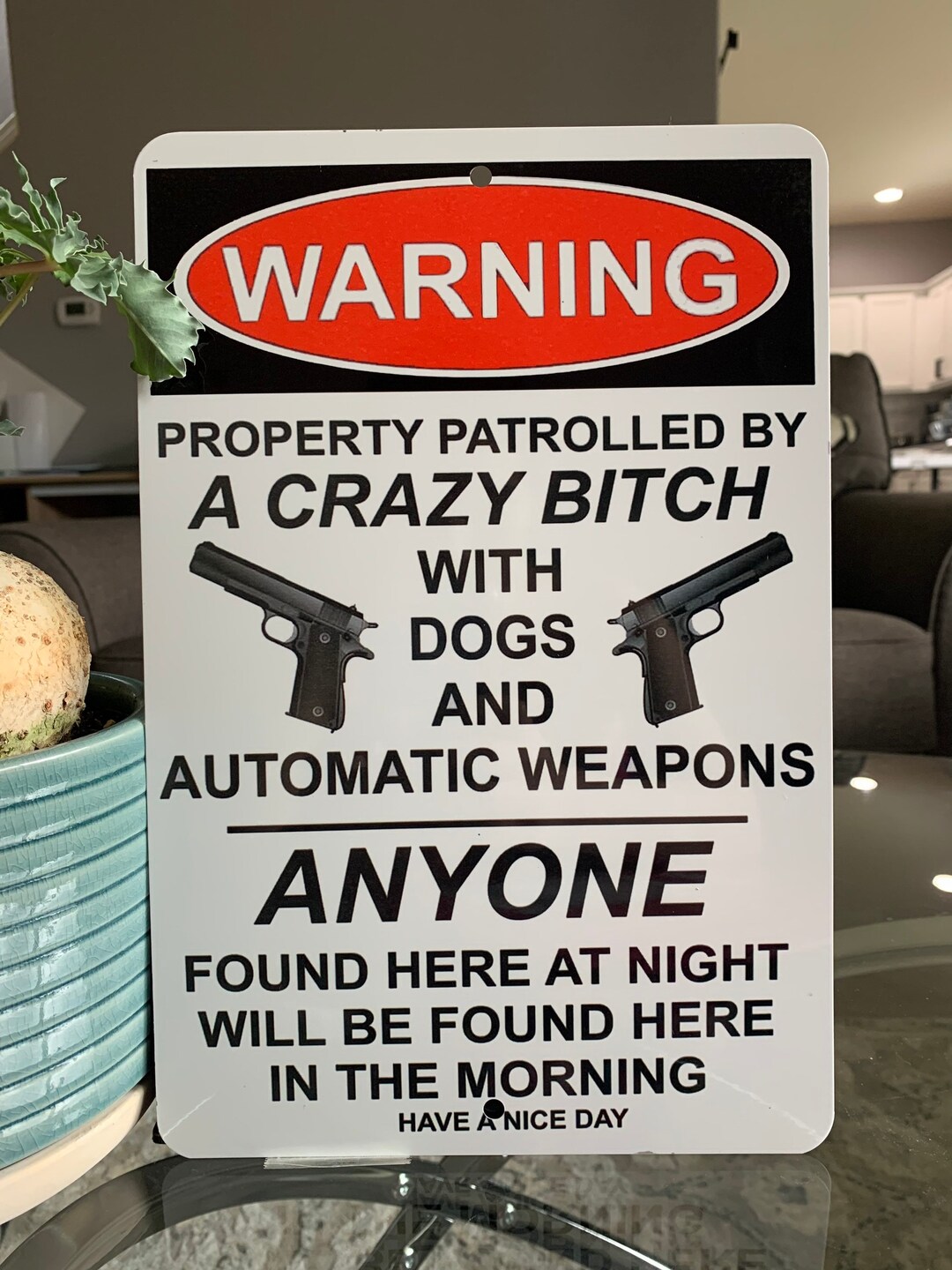 Warning Property Patrolled by A Crazy Bitch Retro Metal Aluminum Tin ...
