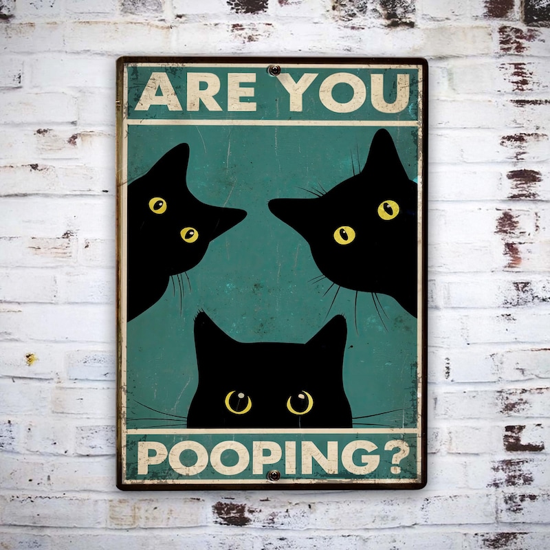 Tin Signs Funny Cat - Etsy