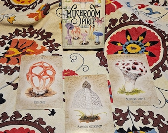Mushroom Spirit Oracle Deck by Nicola Mcintosh - Etsy UK