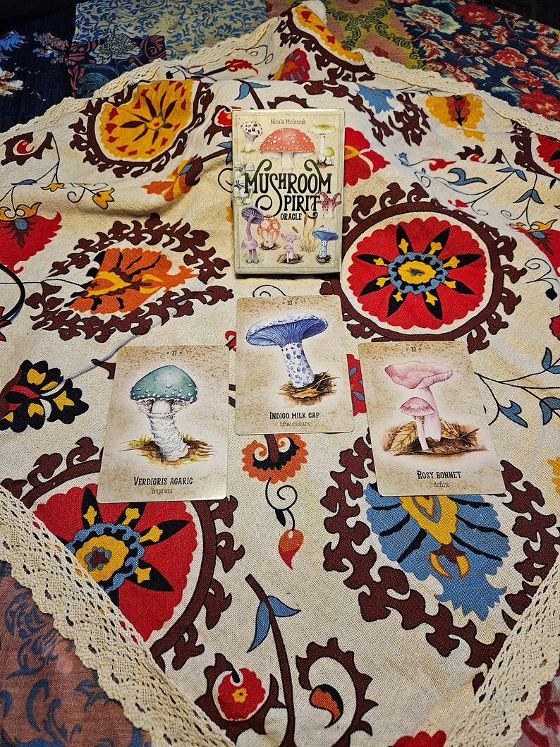 Mushroom Spirit Oracle Reading - Etsy