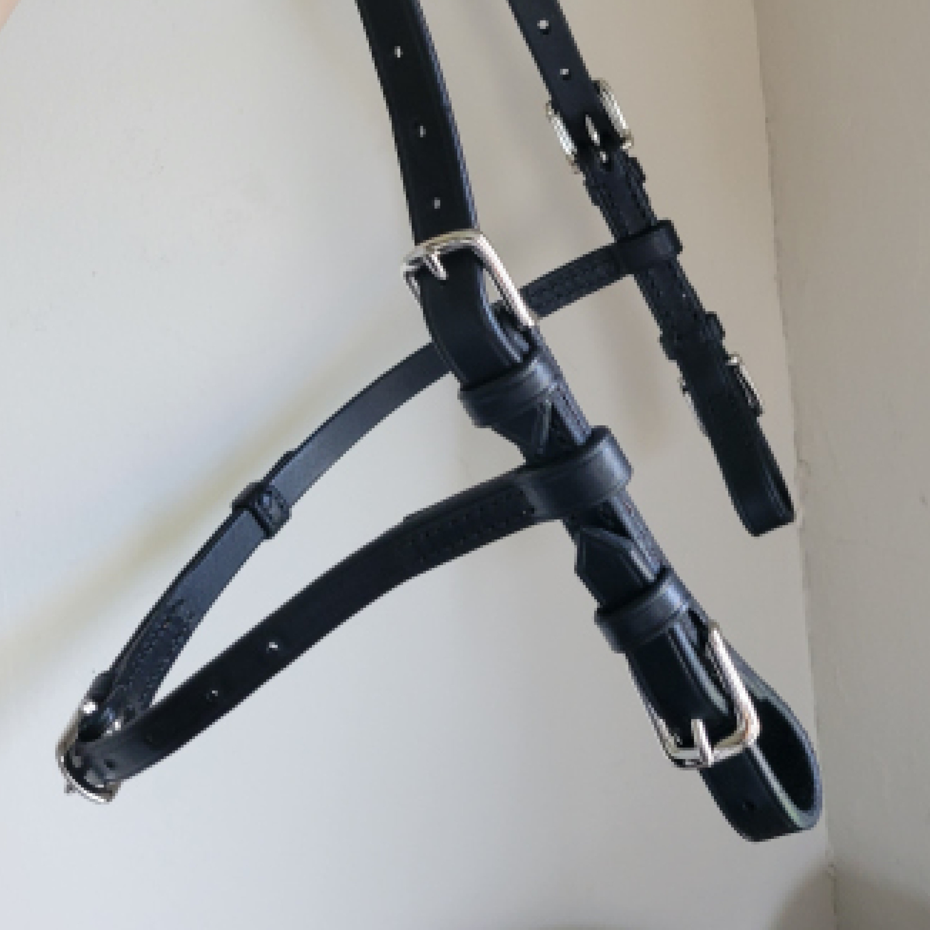 Pattern: Leather Hackamore Headstall PDF Download Printable Diagrams ...