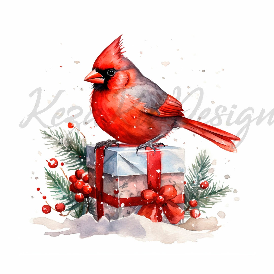 Christmas Cardinal Bird Clipart 15 High-quality Jpgs, Merry Christmas ...