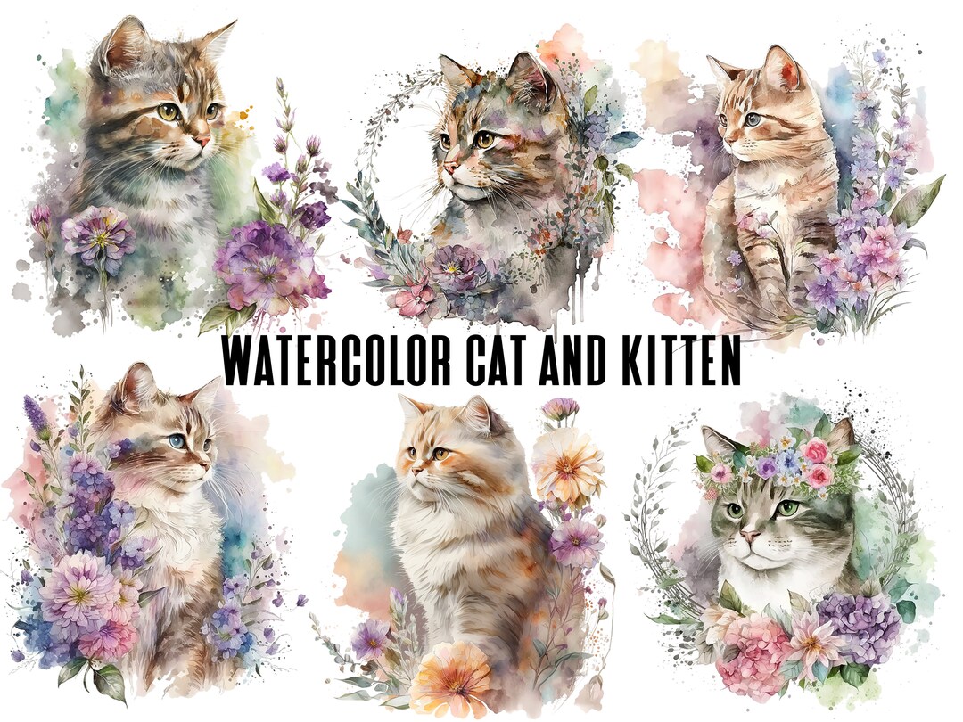 Watercolor Cat Clipart Kitten Clipart Cute Cat PNG - Etsy