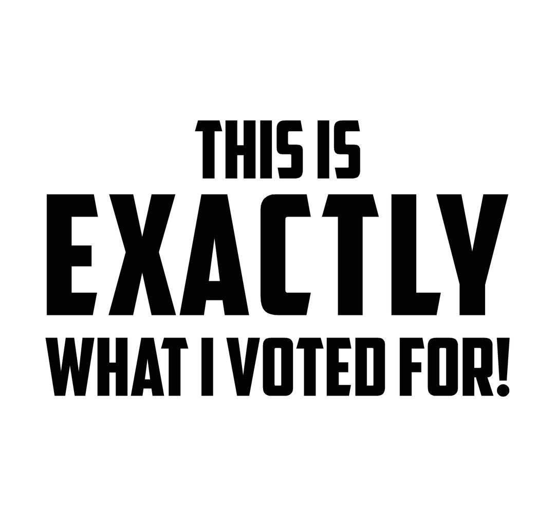 Exactly What I Voted for Decal - Etsy