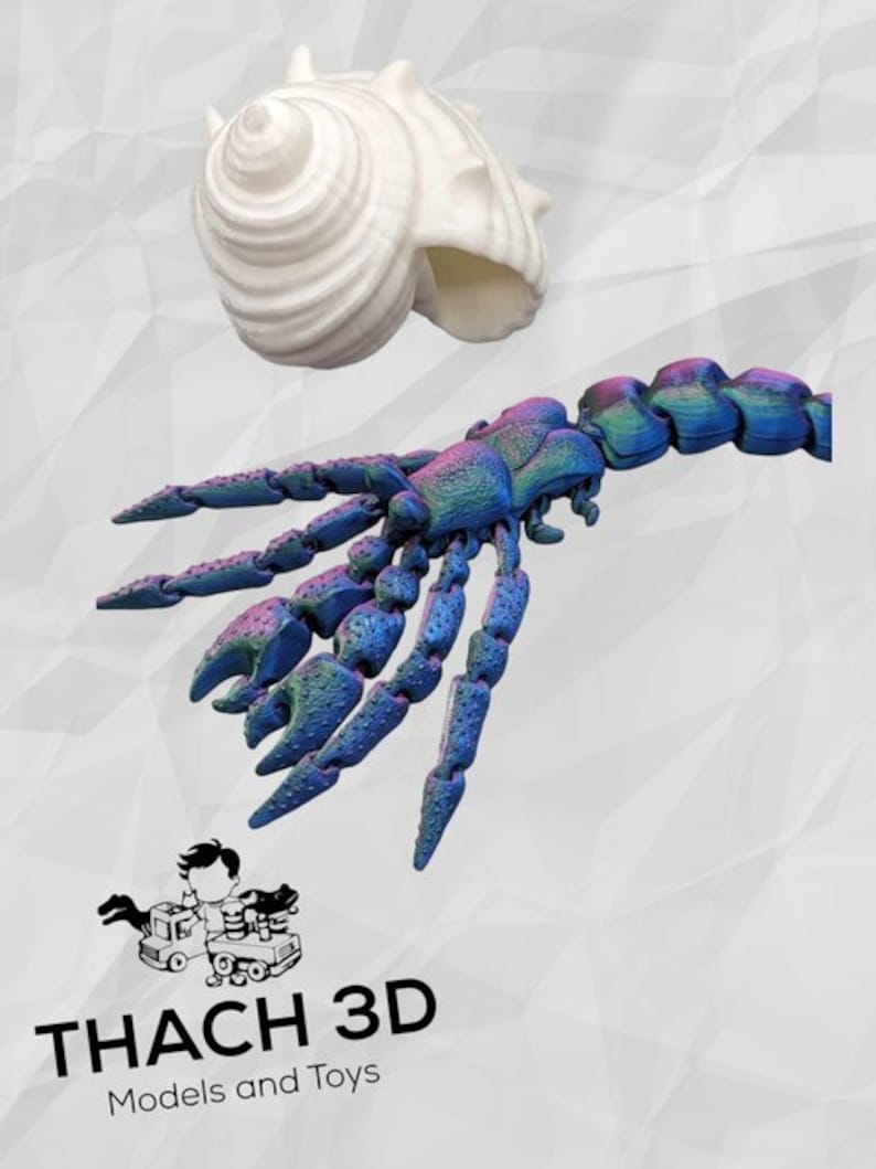 Xl HERMIT CRAB With WHITE Shell - Etsy