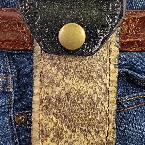 Real Snake Skin - Etsy