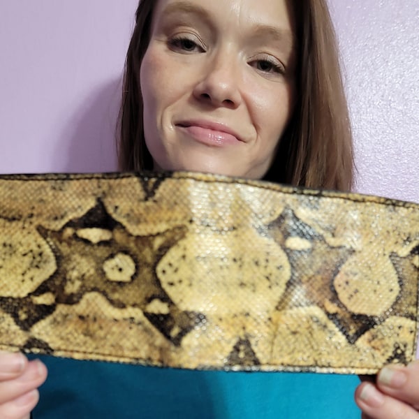 Boa Constrictor - Etsy