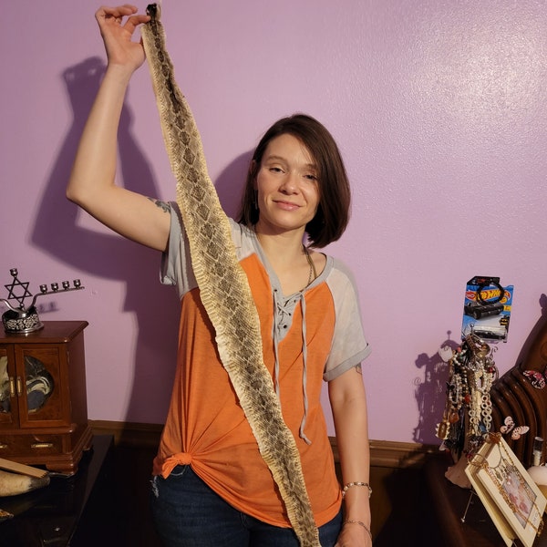 Real Snake Skin - Etsy