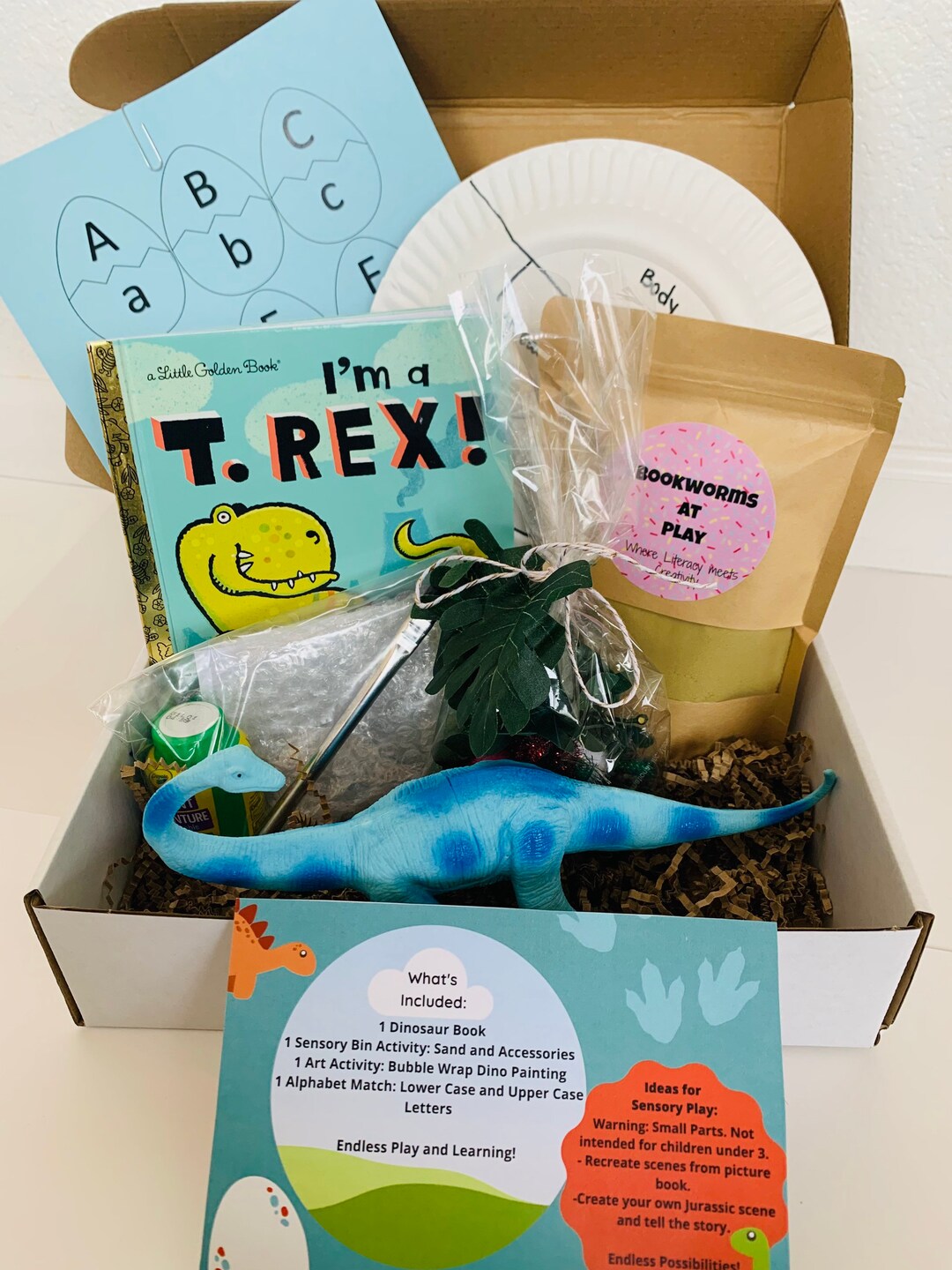 Dinosaur Activity Kit - Etsy