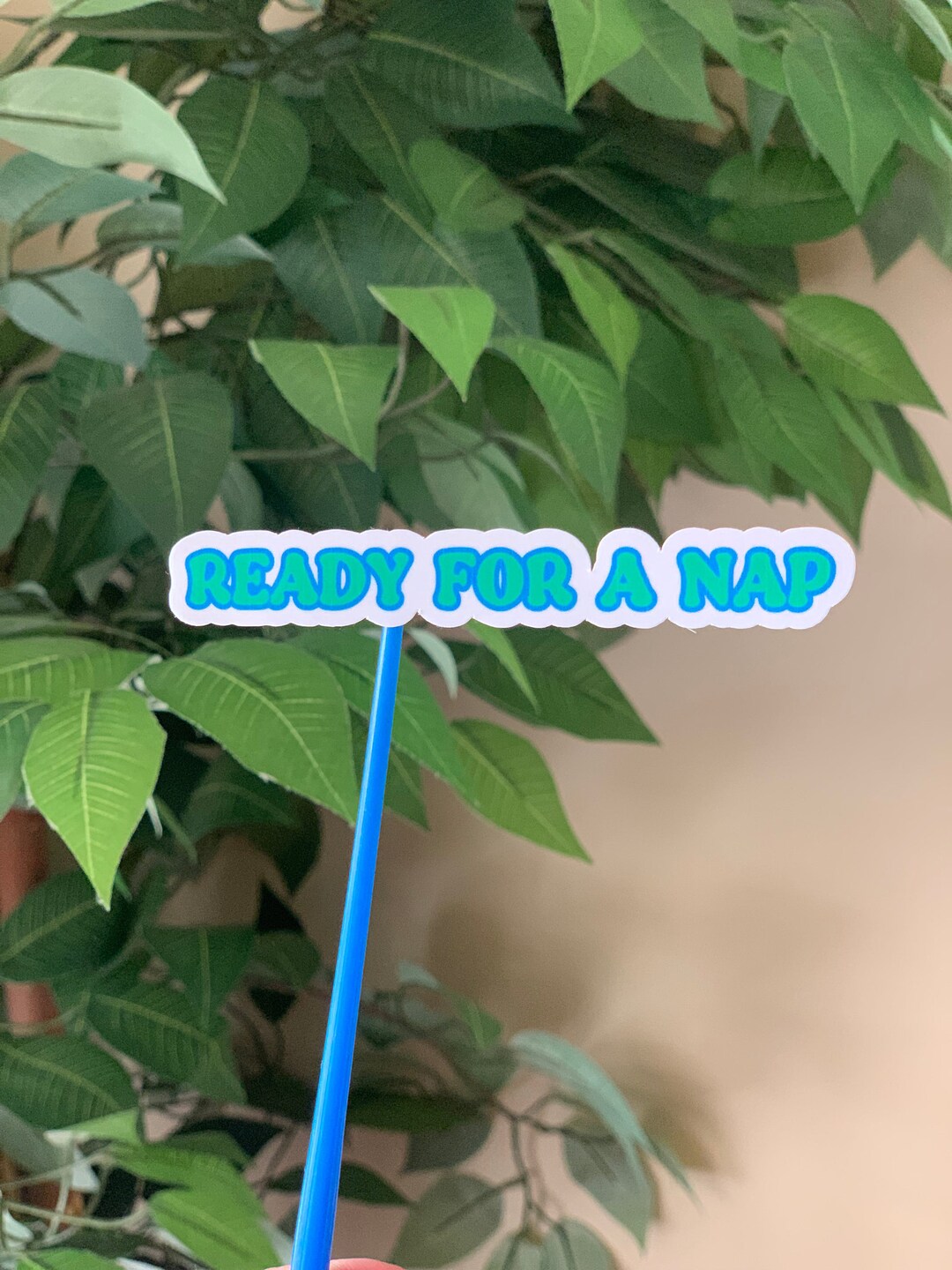 Fun Sticker for Sleepy Head Sticker Love Naps Sleepy Laptop Decal - Etsy