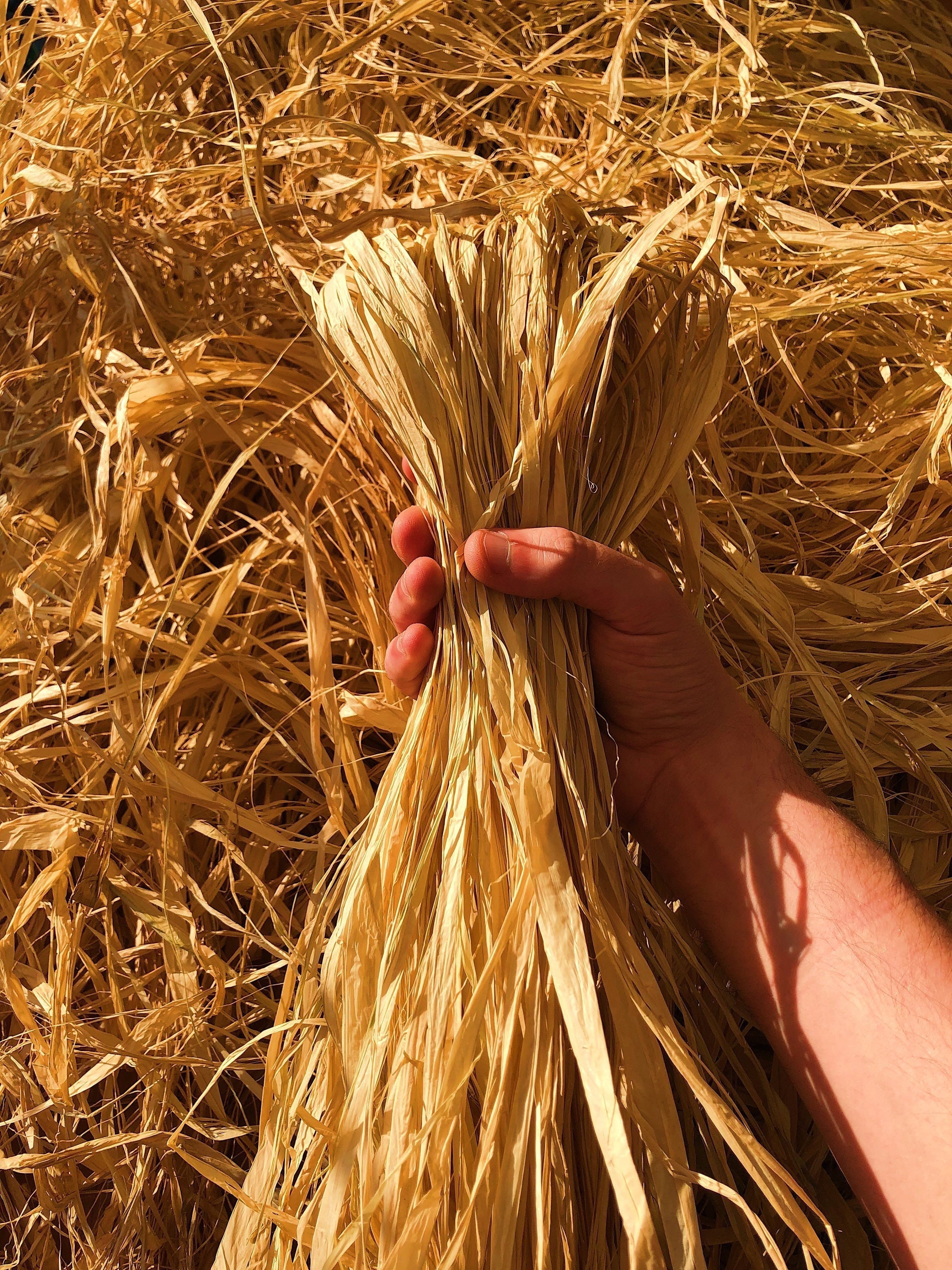 Natural Raffia Skein | Raffia Fiber for Crafting | Raffia for ...