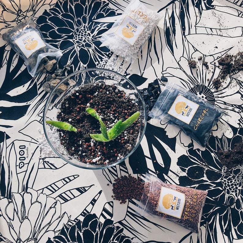 Soil Aeration Kit Tan Sand Bioactive Charcoal Rock Perlite DIY ...