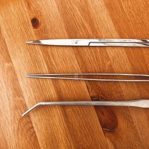 3-piece Terrarium Tool Kit | 2x Tweezers | Scissors | Stainless Steel ...