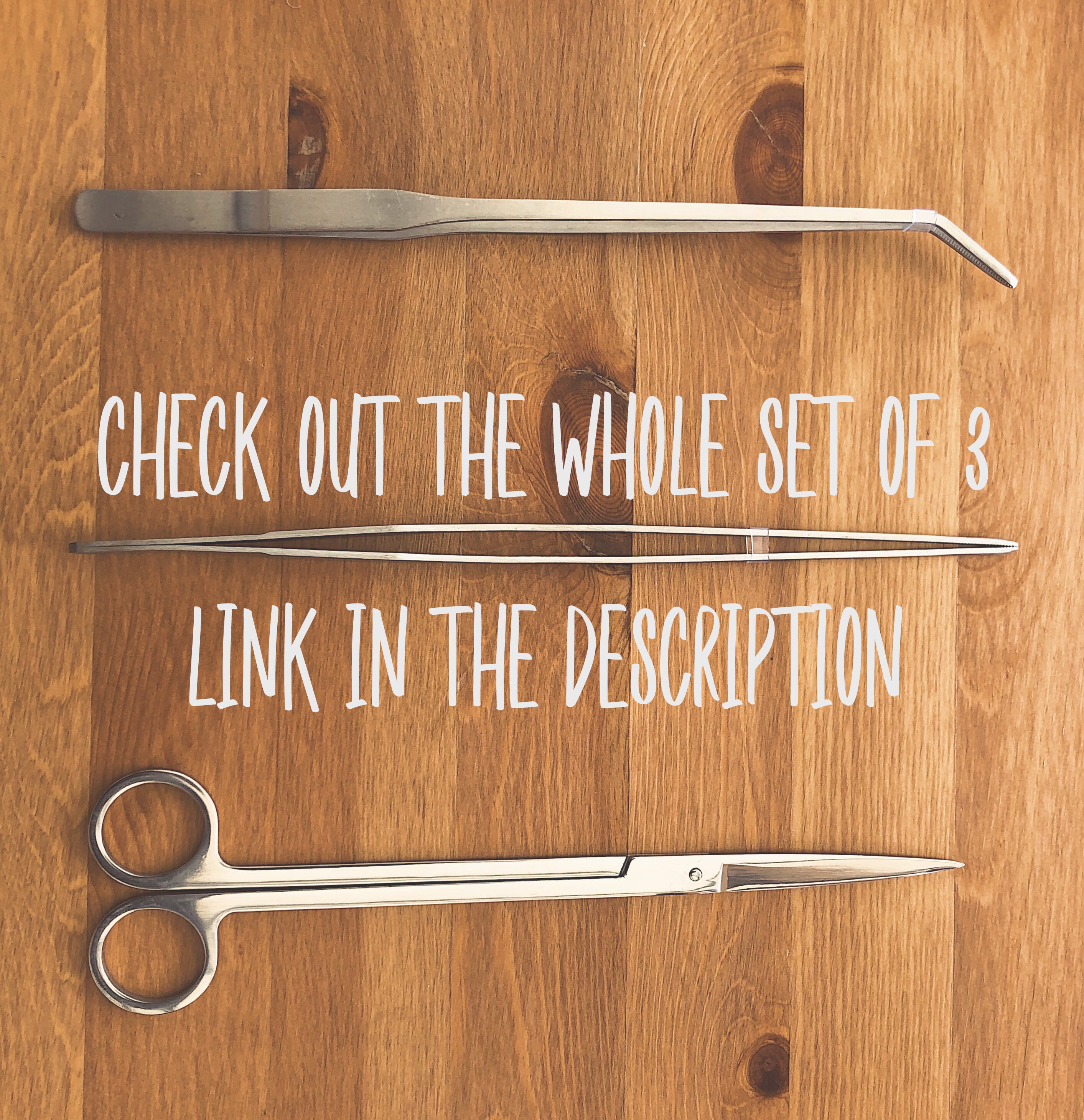 Terrarium Tools Long Angled Stainless Steel Tweezers 27cm Aquascaping ...