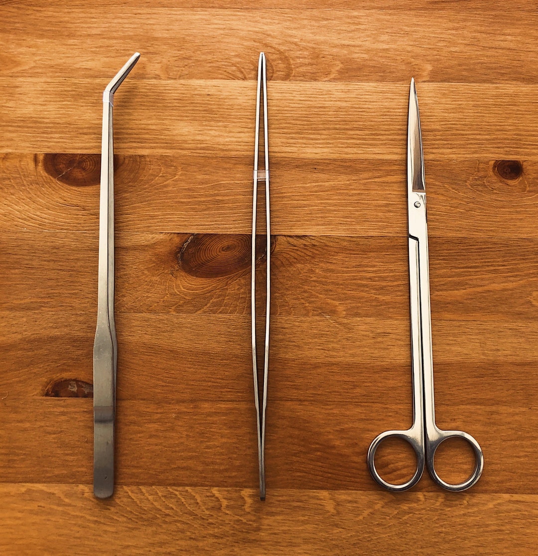 3-piece Terrarium Tool Kit | 2x Tweezers | Scissors | Stainless Steel ...