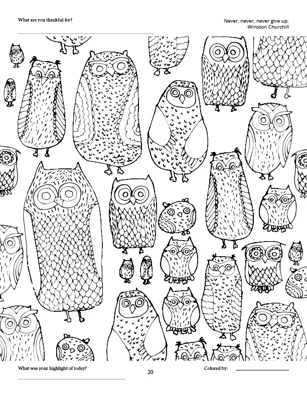 Hoot Hoot Owls Adult Coloring Book Digital Download PDF File, Quote ...