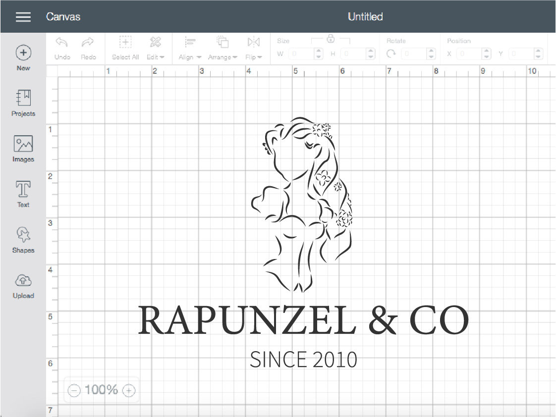 Rapunzel & Co Svg Rapunzel Png Family Shirt Svg Digital - Etsy España