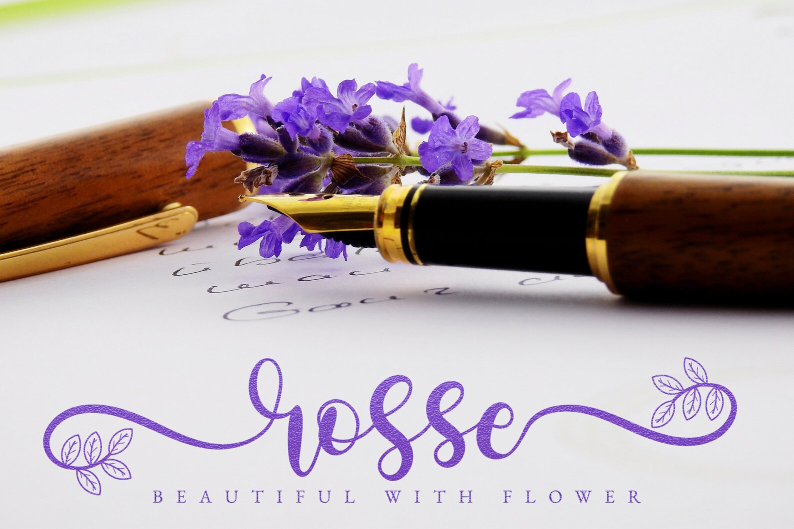 Holly Script Font, Swash Font, Spring Font, Calligraphy Font, Autumn ...