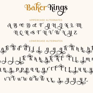 Baker Kings Font, Handwritten Font, Script Font, Calligraphy Font ...