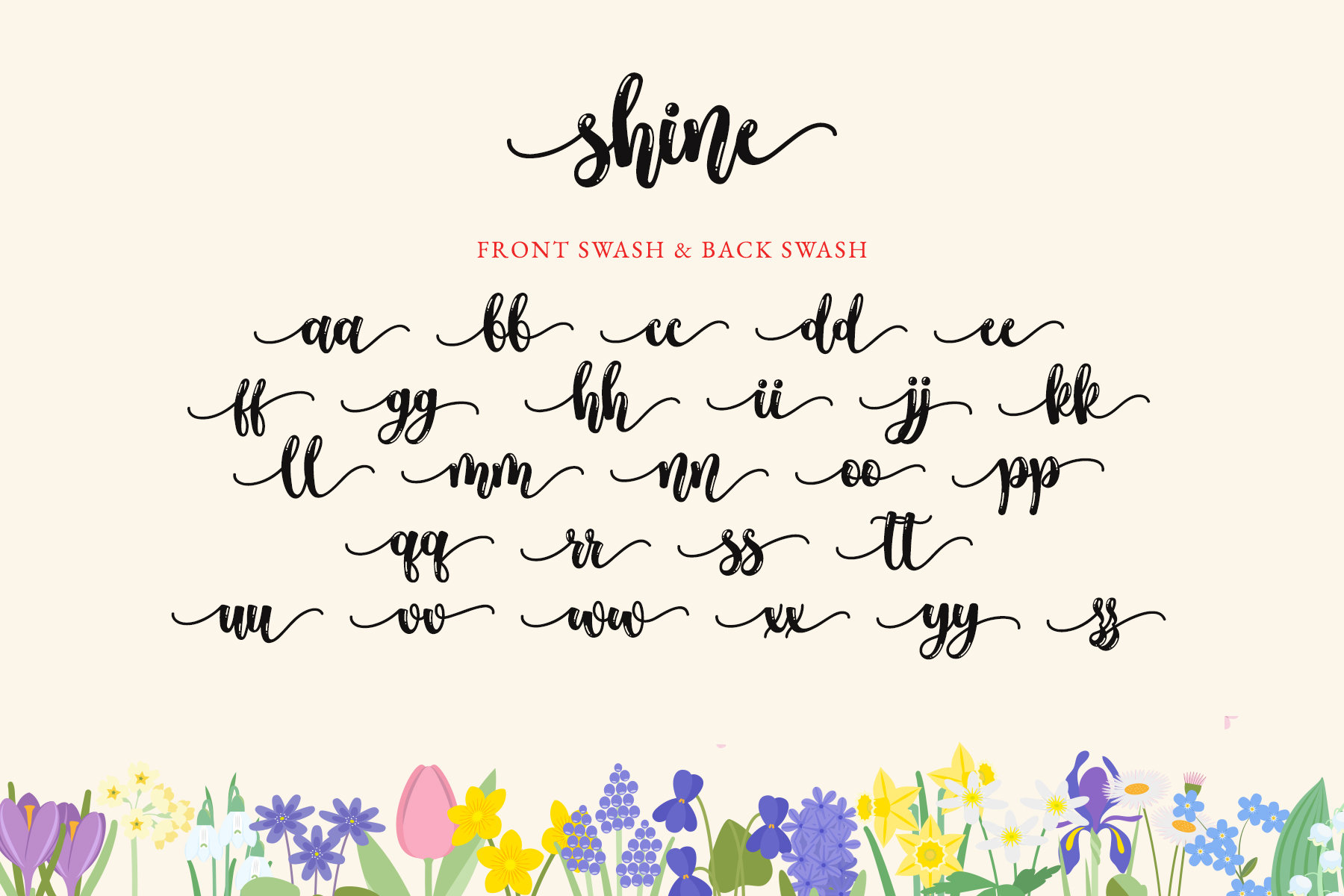 Shine Font, Handwritten Font, Script Font, Swash Font, Tail Font, Font With Tail, Swoosh Font ...